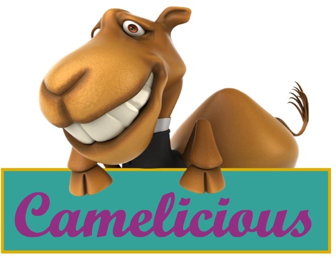 Facilities - Old School Queen Camel